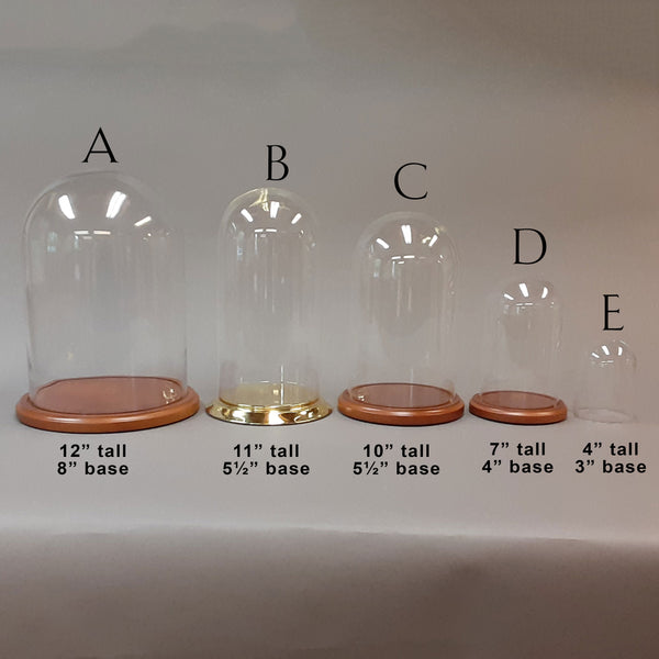 Glass Display Domes - R. John Wright